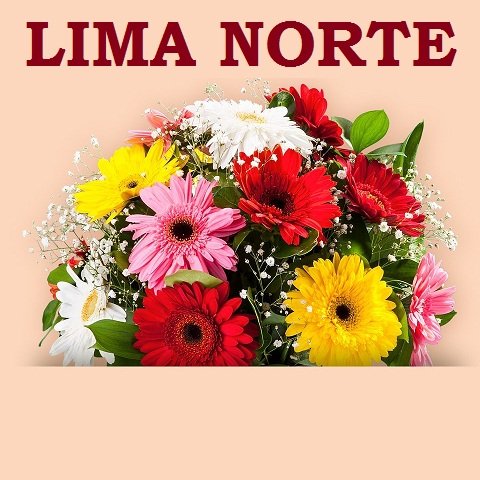 Catalogo Especial de Florerias | Florerias Vip